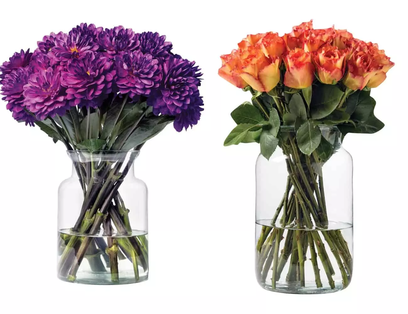 Как основателят на FLOWERBX Уитни Бромбърг Хокингс премина от кариера в модата към цветя 15929_3