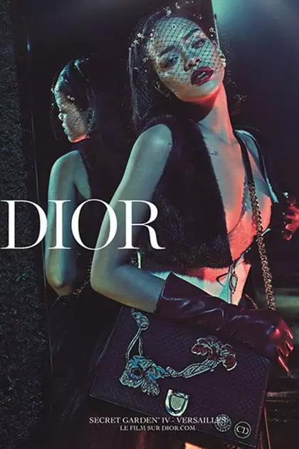 Рыяна афіцыйна робіць гісторыю Dior 20294_5