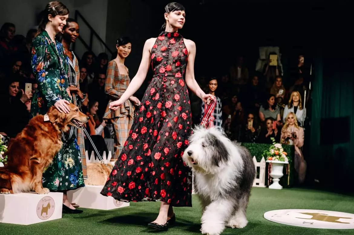 Litte wy allegear gewoan iens wêze dat Lela Rose's Runway Dog Show it leukste ding oait wie 26802_1