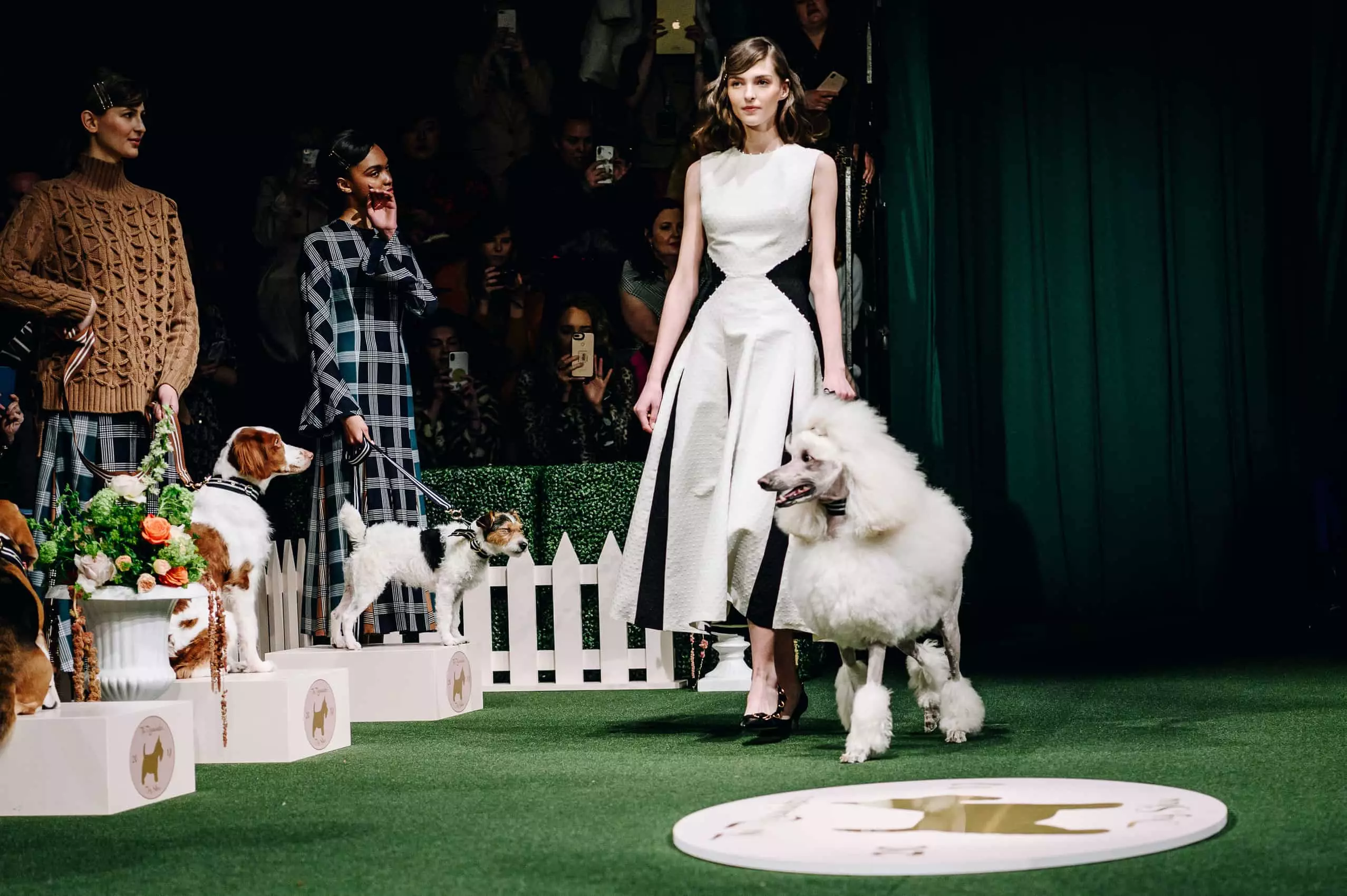 Aynu dhamaanteen ku heshiino in Lela Rose's Runway Dog Show uu ahaa waxa ugu quruxda badan abid 26802_15