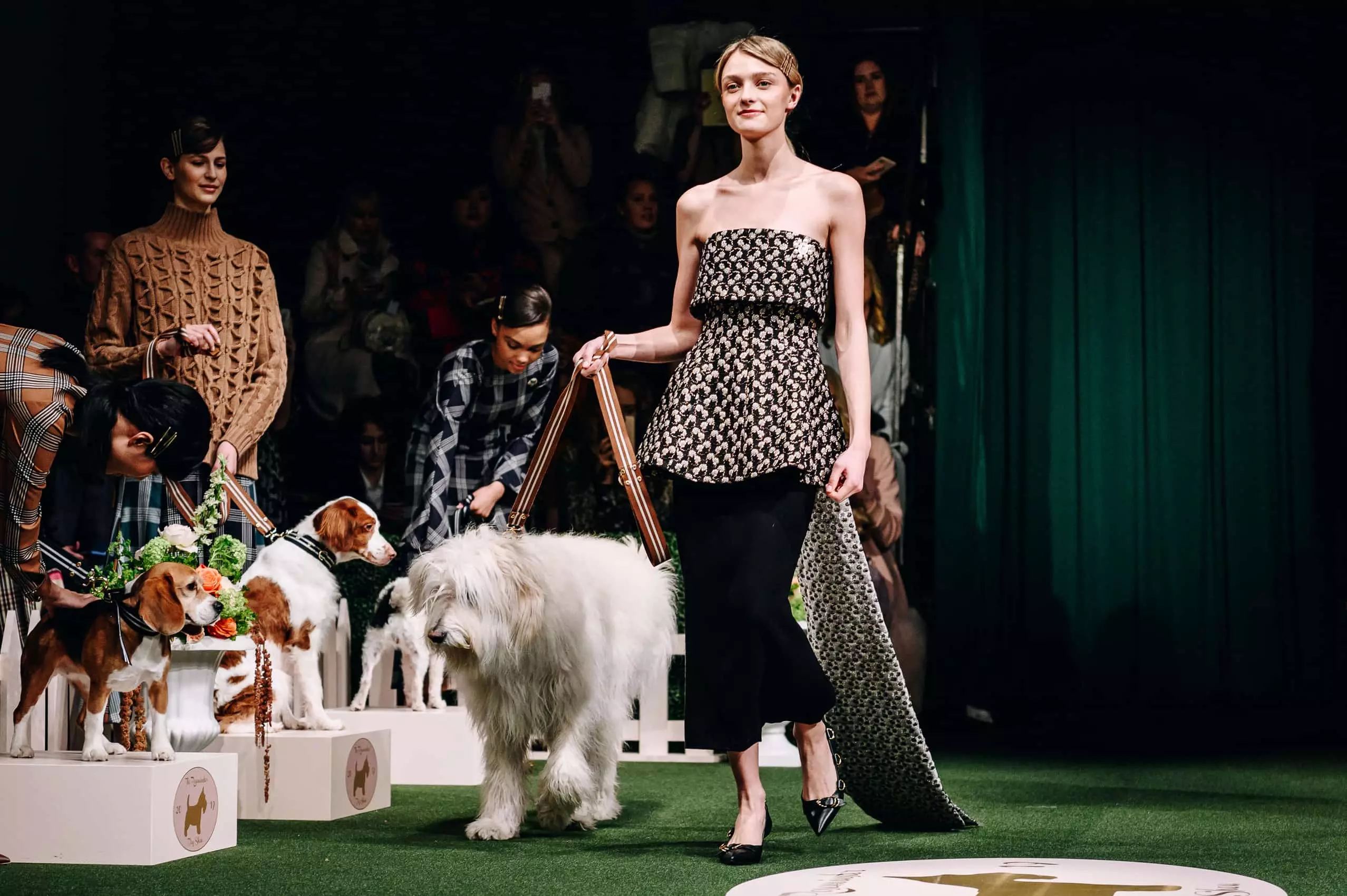 La oss alle bare være enige om at Lela Roses Runway Dog Show var den søteste tingen noensinne 26802_17