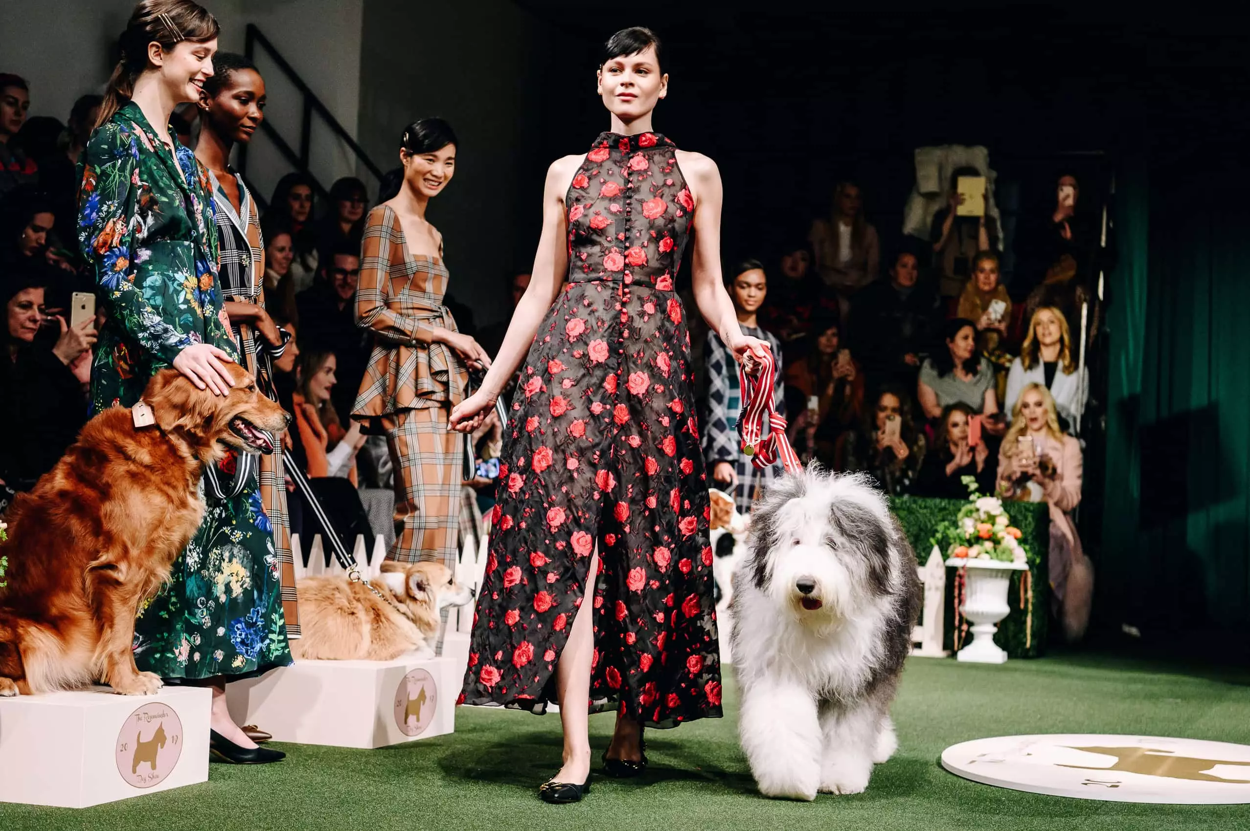 Ας συμφωνήσουμε όλοι ότι το Runway Dog Show της Lela Rose ήταν το πιο χαριτωμένο πράγμα ποτέ 26802_22