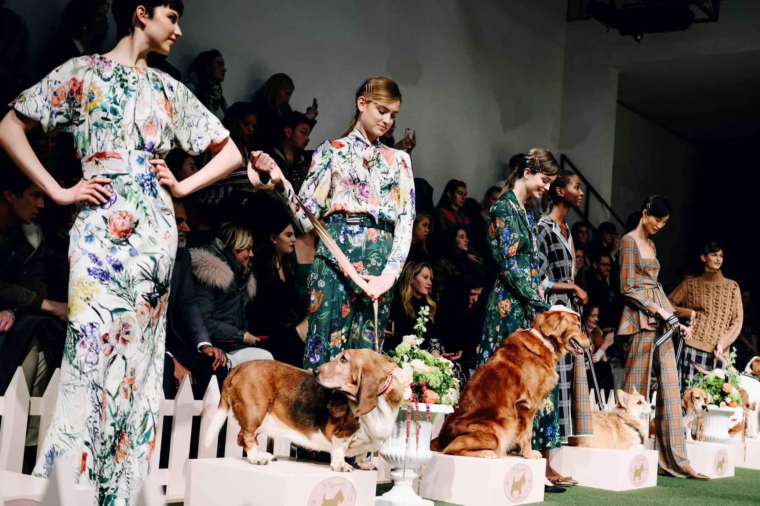 Aynu dhamaanteen ku heshiino in Lela Rose's Runway Dog Show uu ahaa waxa ugu quruxda badan abid 26802_5