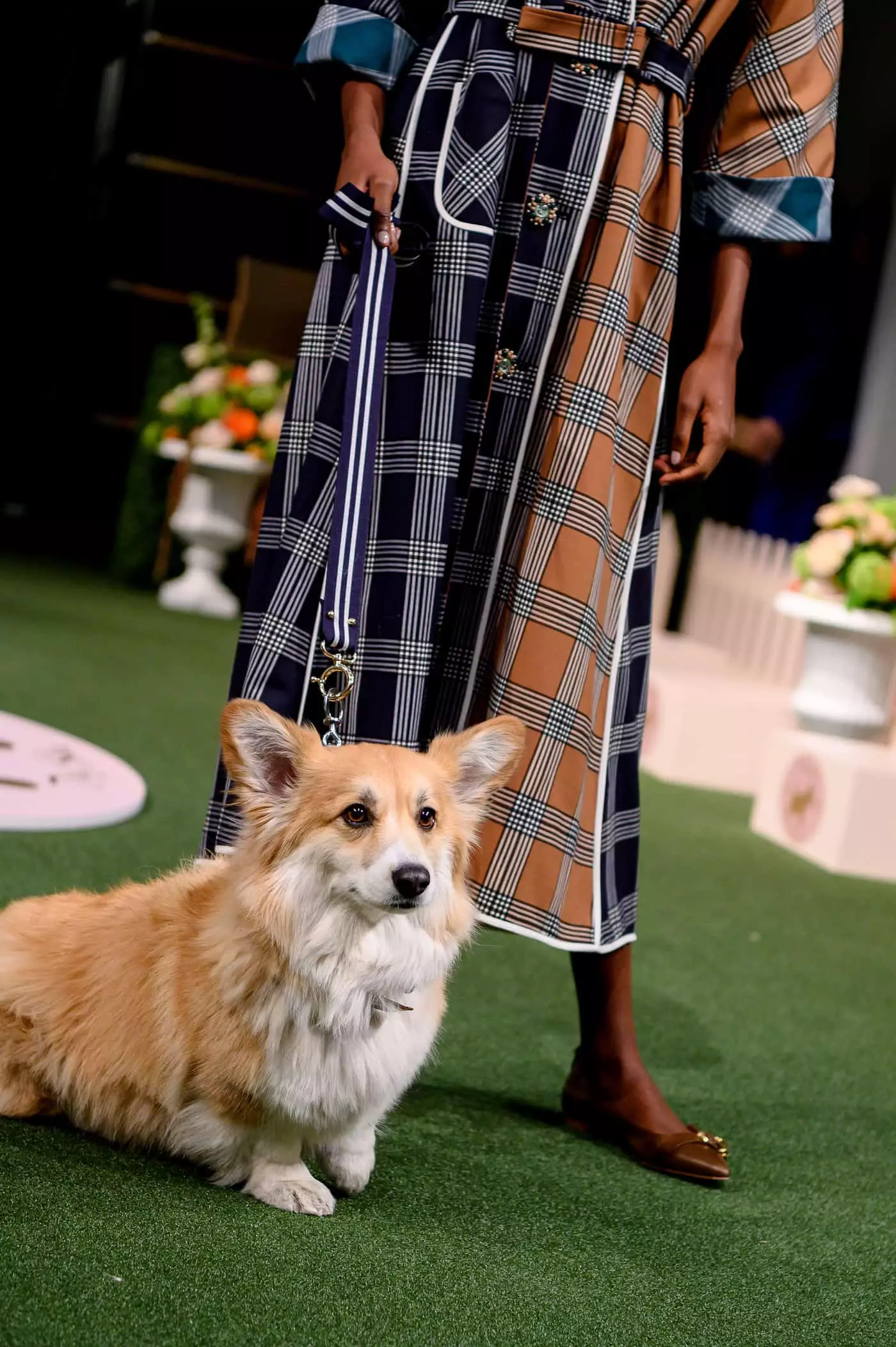 Siamo tutti d'accordo sul fatto che il Runway Dog Show di Lela Rose sia stata la cosa più carina di sempre 26802_7