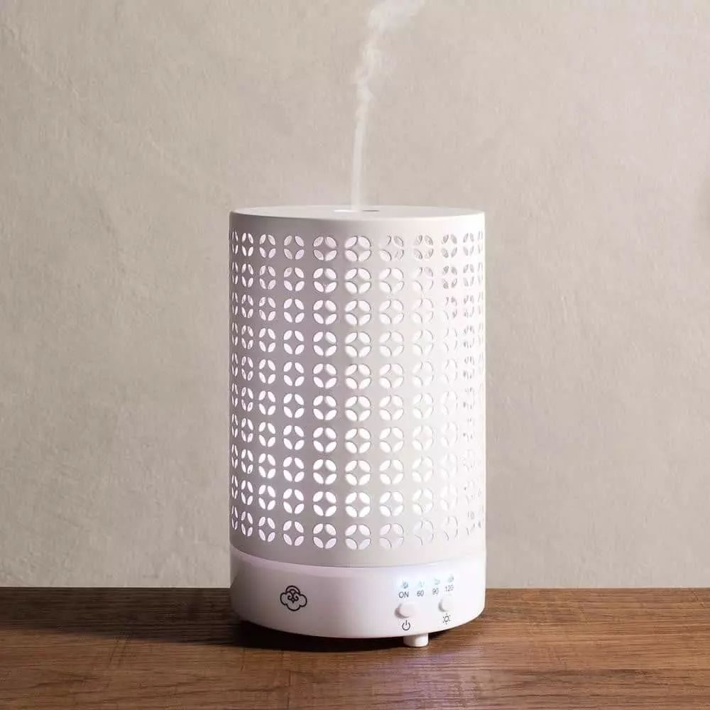 10 geurdiffusers om jo aromatherapy-spiel nei it folgjende nivo te nimmen 28239_6