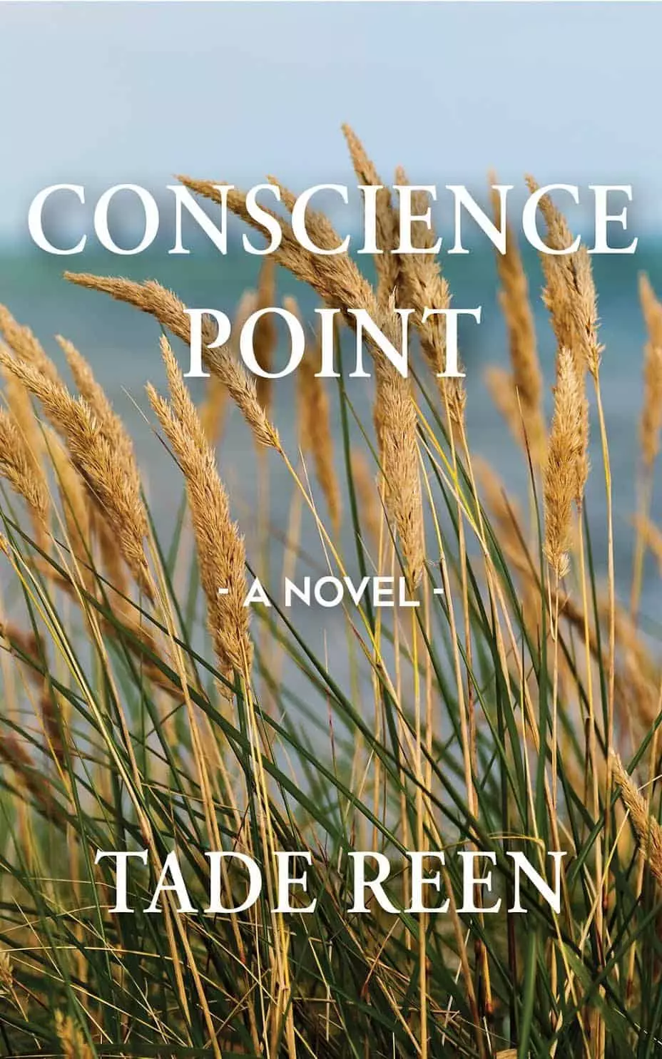 Daily Book Club: Tade Reen's Conscience Point 3227_3