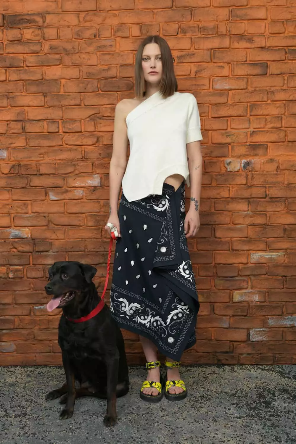 Monse hợp tác với tổ chức cứu hộ thú cưng, tạo ra những chiếc áo len cho chó đẹp nhất thế giới 35220_14