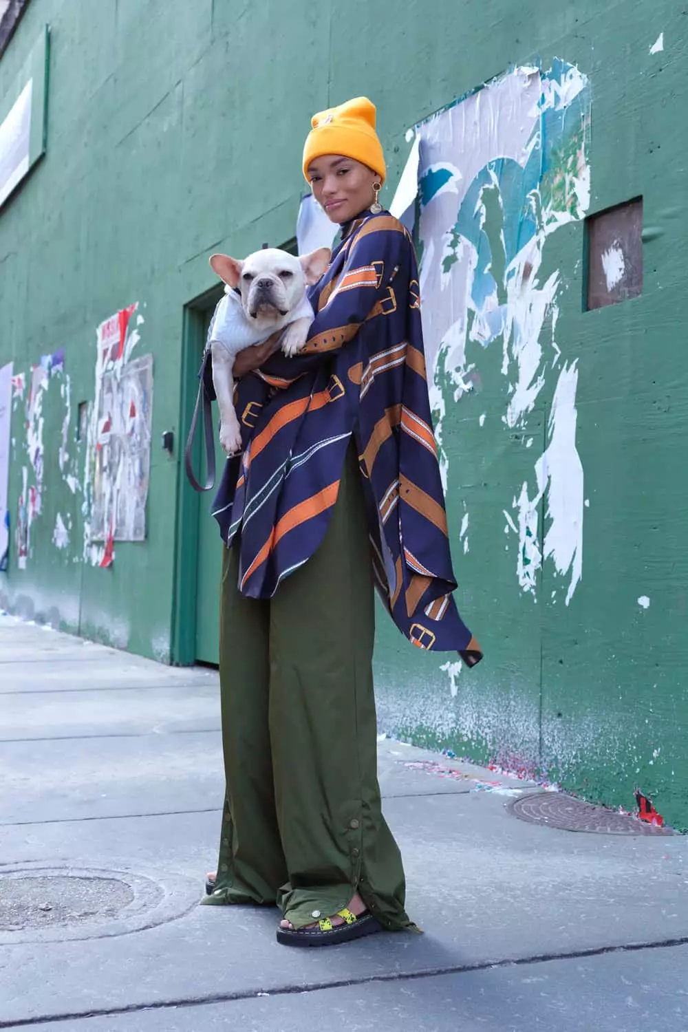 Monse Bermitra Dengan Organisasi Penyelamat Hewan Peliharaan, Membuat Sweater Anjing Tercantik di Dunia 35220_18