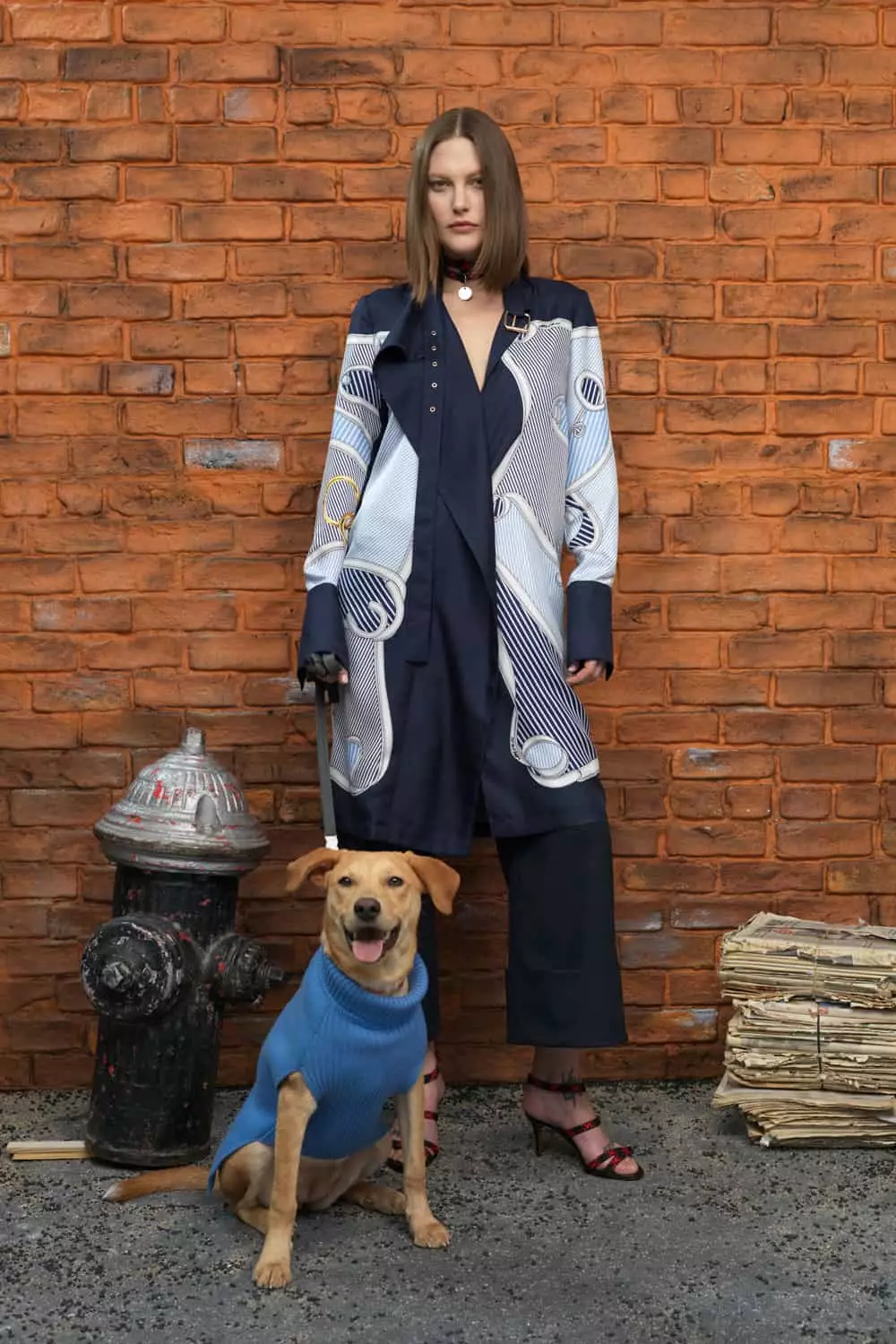 Monse hợp tác với tổ chức cứu hộ thú cưng, tạo ra những chiếc áo len cho chó đẹp nhất thế giới 35220_19