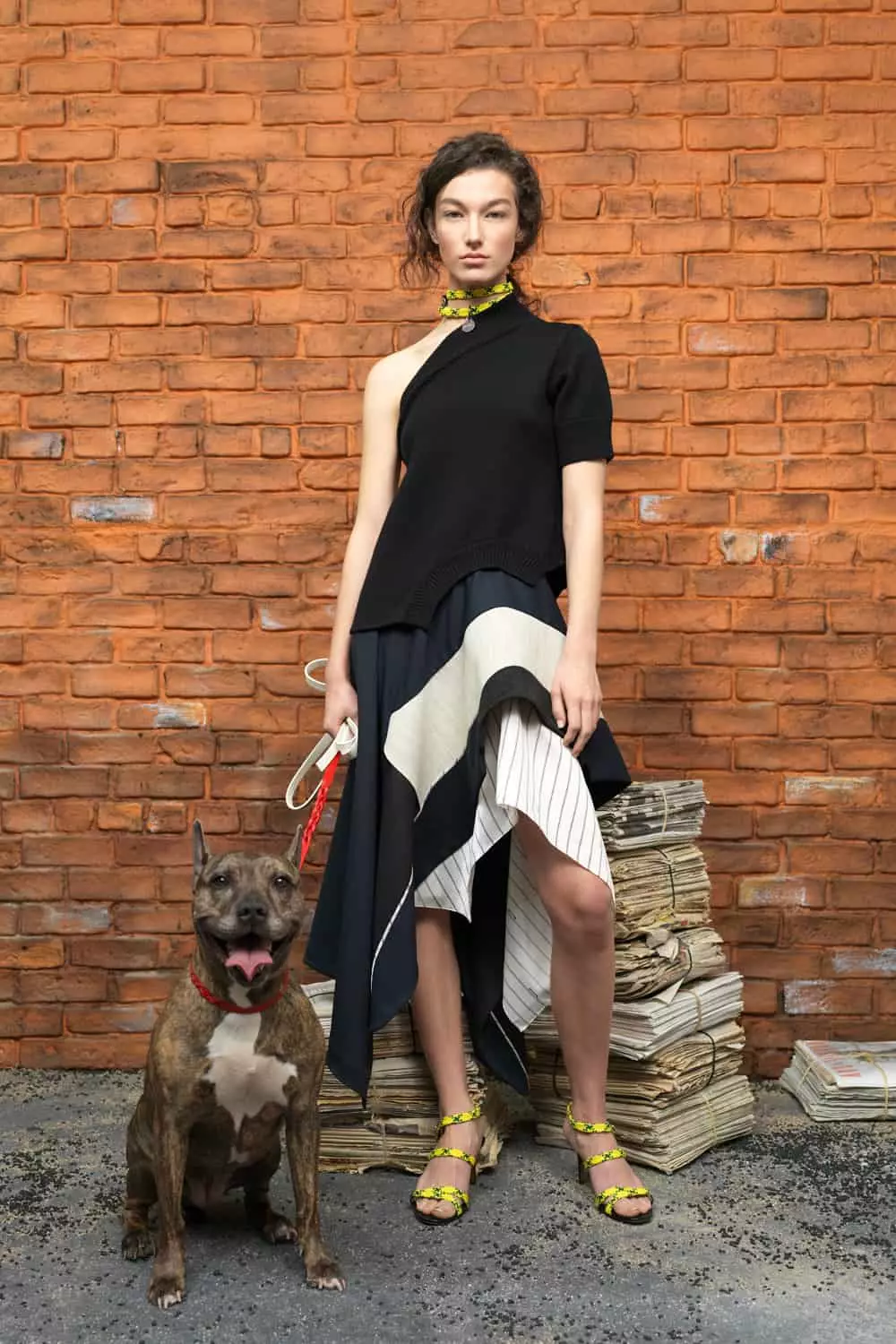 Monse Bermitra Dengan Organisasi Penyelamat Hewan Peliharaan, Membuat Sweater Anjing Tercantik di Dunia 35220_26