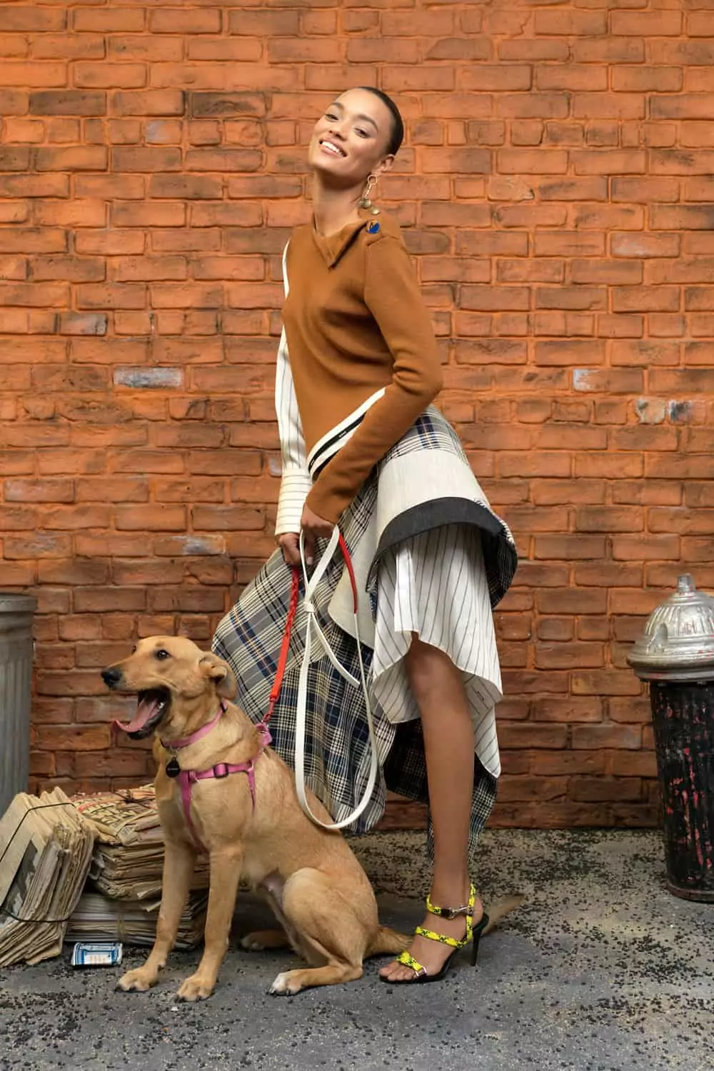 Monse hợp tác với tổ chức cứu hộ thú cưng, tạo ra những chiếc áo len cho chó đẹp nhất thế giới 35220_28