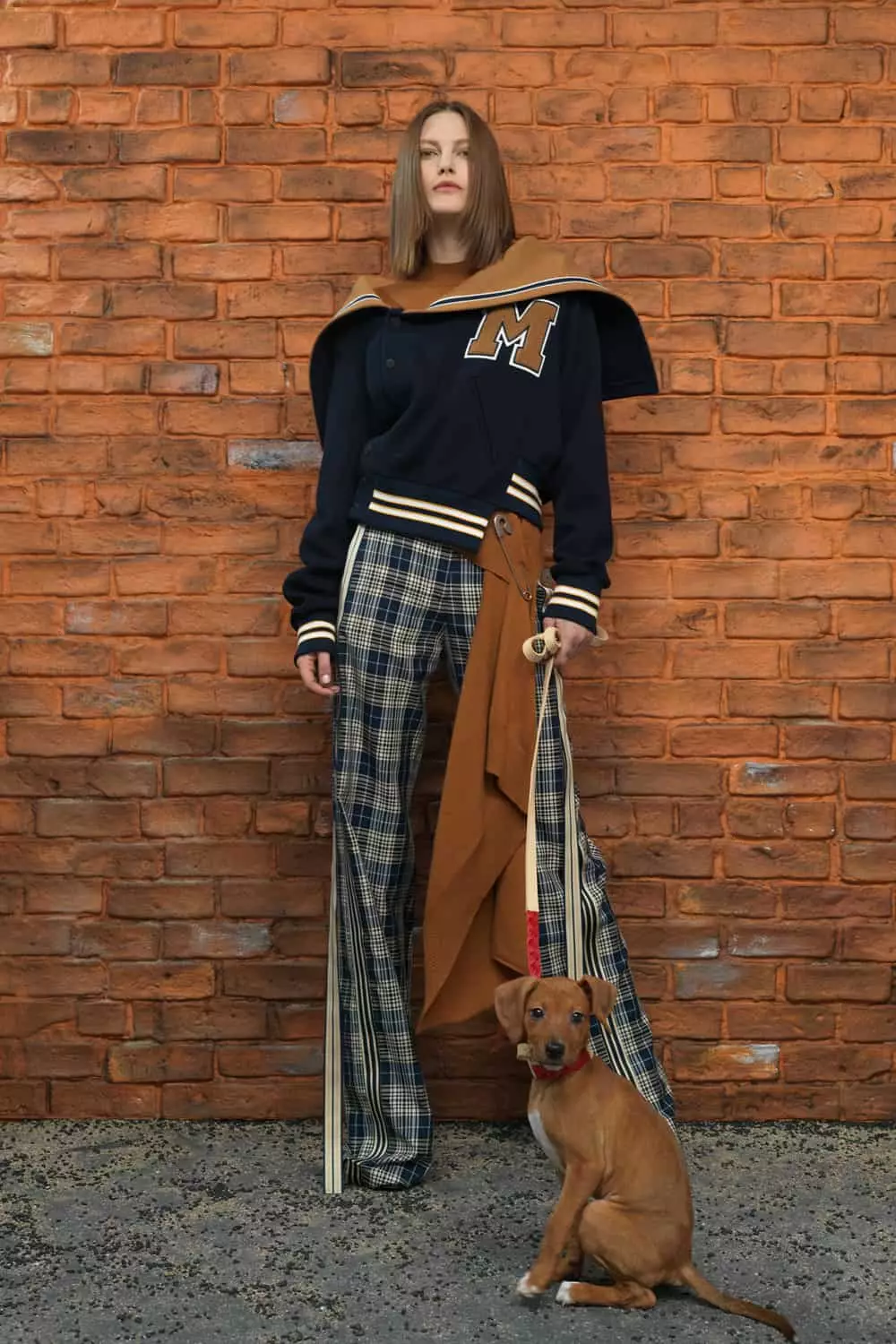 పెట్ రెస్క్యూ ఆర్గ్స్‌తో మోన్స్ భాగస్వాములు, ప్రపంచంలోనే అత్యంత అందమైన డాగ్ స్వెటర్‌లను తయారు చేశారు 35220_31