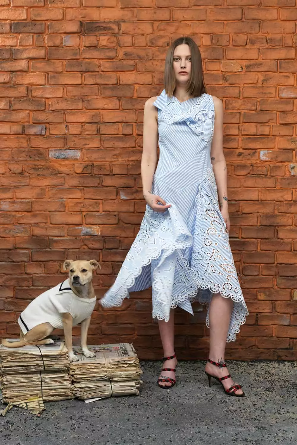 Monse hợp tác với tổ chức cứu hộ thú cưng, tạo ra những chiếc áo len cho chó đẹp nhất thế giới 35220_4