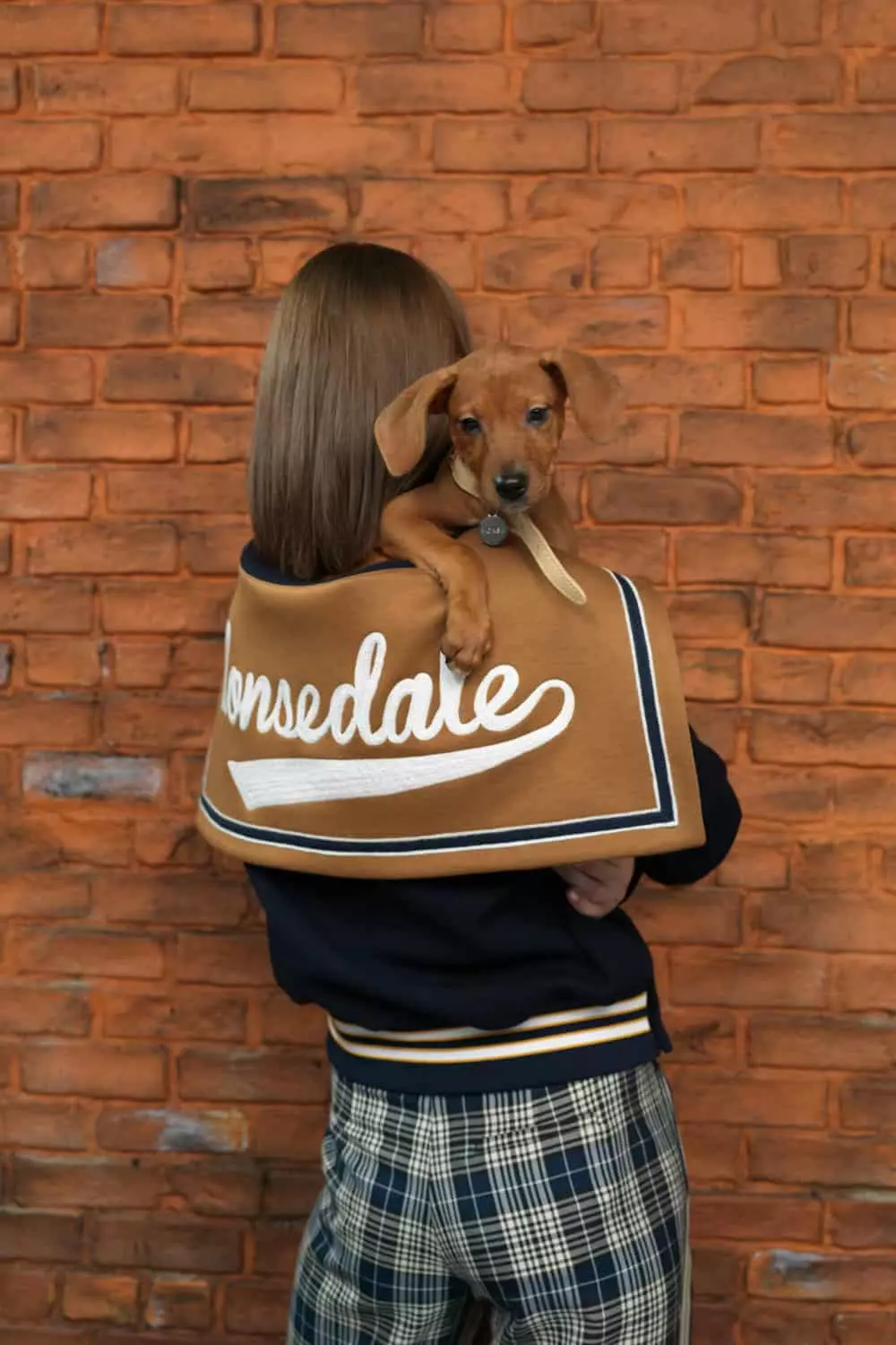 Компания Monse сотрудничает с организациями по спасению домашних животных и создает самые шикарные в мире свитера для собак 35220_5