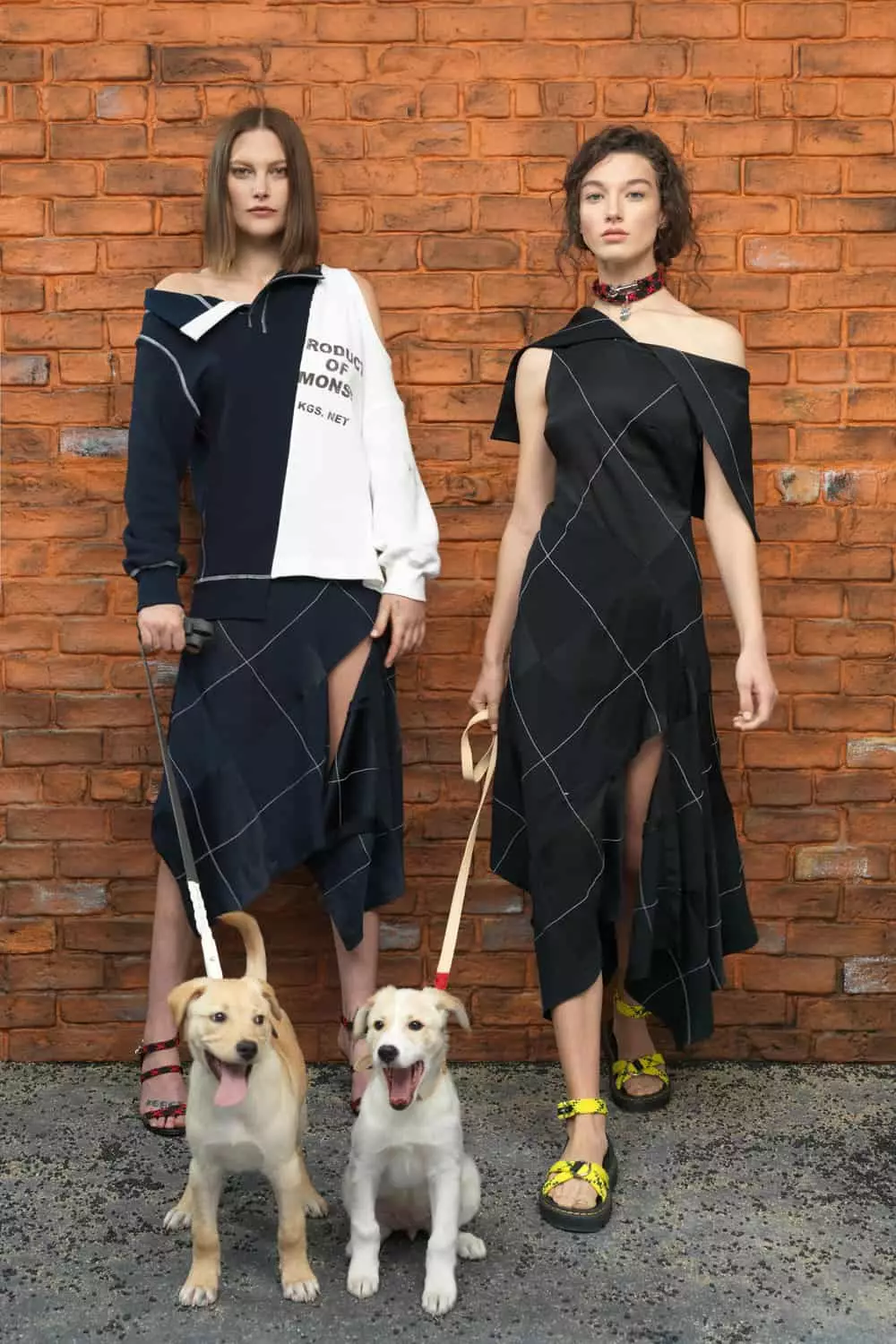 Monse colaborează cu organizațiile de salvare a animalelor de companie, fabrică cele mai șic pulovere pentru câini din lume 35220_8