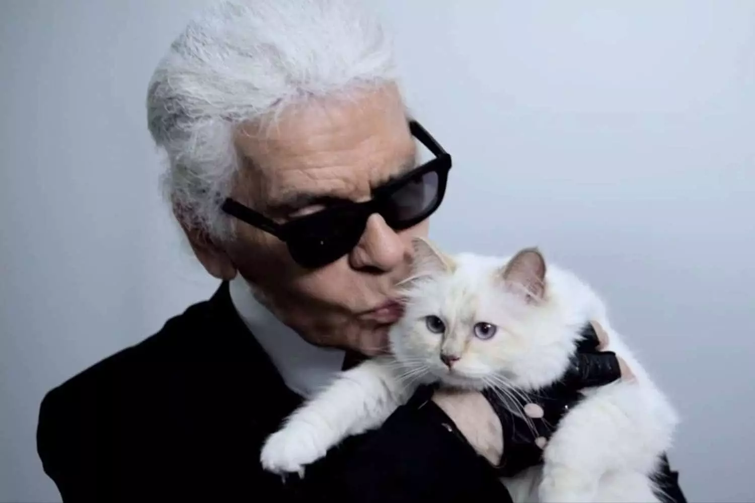 De Karl Lagerfeld huet zouginn datt hien Choupette vun engem Frënd geklaut huet