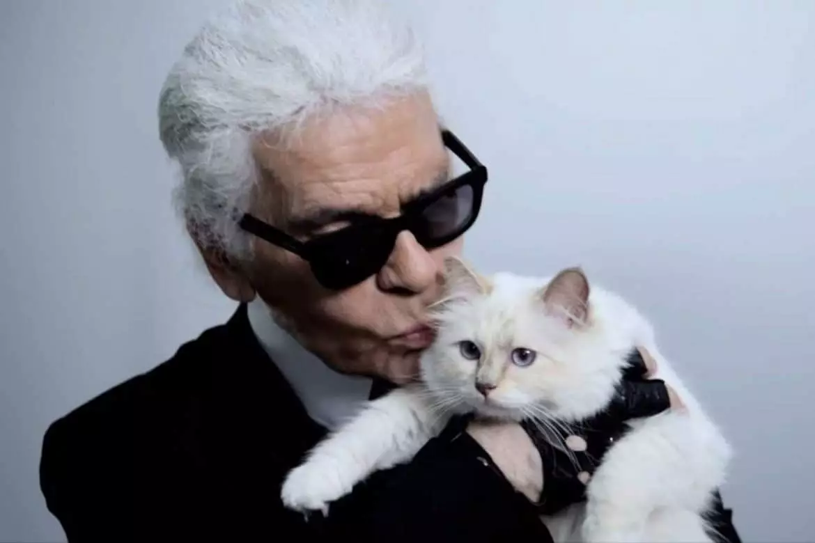 Karl Lagerfeld erken dat hy Choupette van 'n vriend gesteel het 38629_1