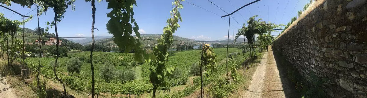 Carnet de voyage : l'évasion de luxe de Charlotte Simone dans la vallée du Douro au Portugal 40361_4