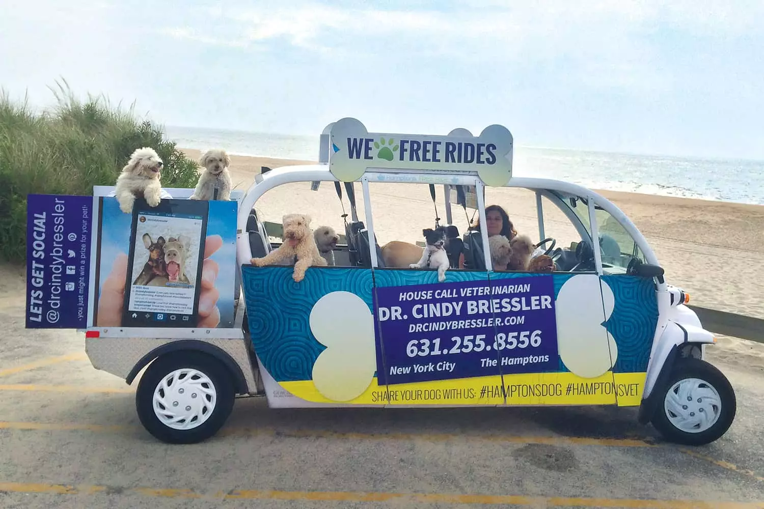 Dr. Cindy Bressler VIP-kezelésben részesíti Hamptons Pets-t 41321_3