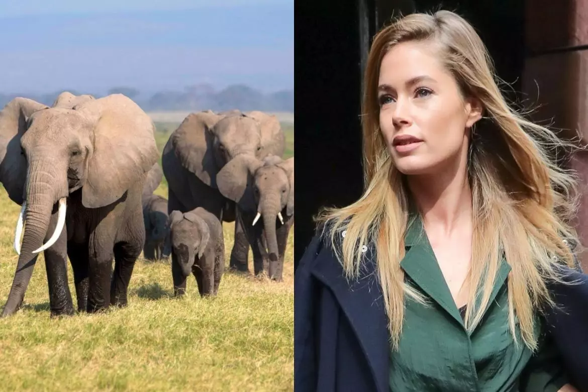 Supermodelos soam alarme para proteger os elefantes da última ameaça da administração do Trump 43794_1