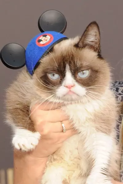 Grumpy Cat== VERDENSPREMIEREN PÅ DISNEYS BETRÆNDENDE LIVE ACTION