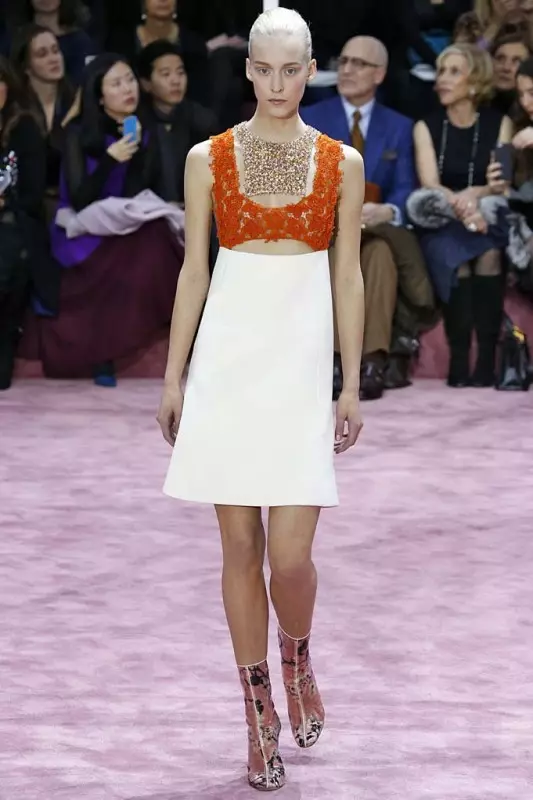 Dior Couture Яз 2015 47668_21