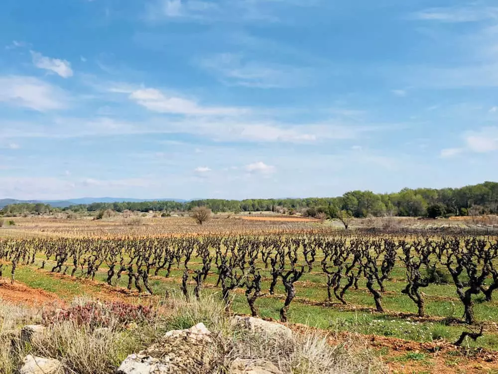 דיין נייַע ראָסע אָבסעססיאָן איז אנגעקומען 4831_3