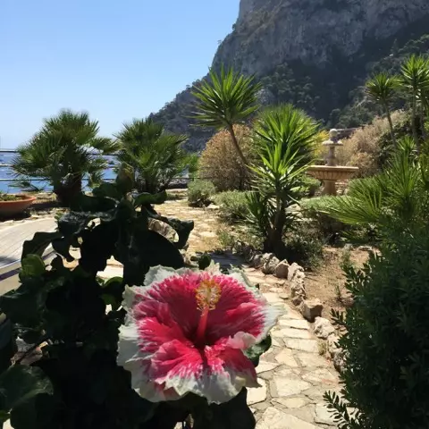 Wanderlusts, Vol. 13: Nicole Esposito's Capri Adventure 48401_13