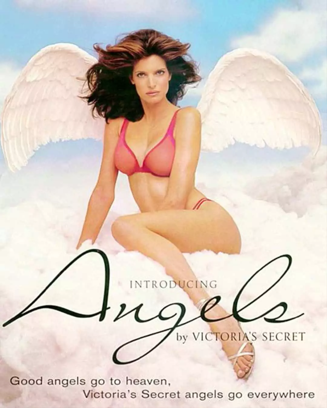 14 Modele VS Zgjidhni Engjëllin e Victoria's Secret të dhisë 49053_8