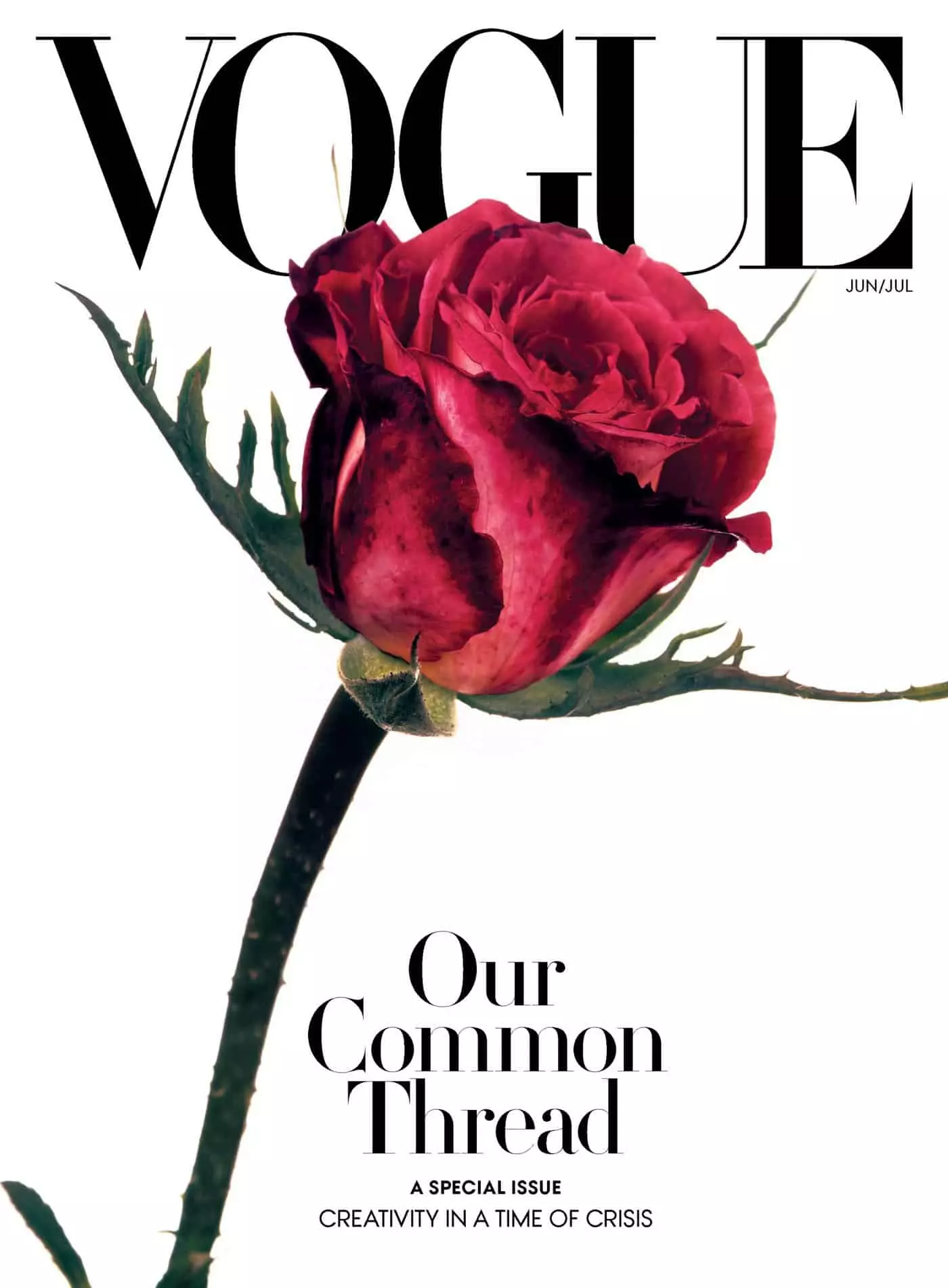 Vogue ujawnia historyczną okładkę Covid-19 5986_2