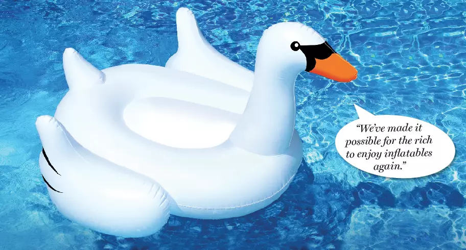Crying Foul: Meet The Sassy Swan