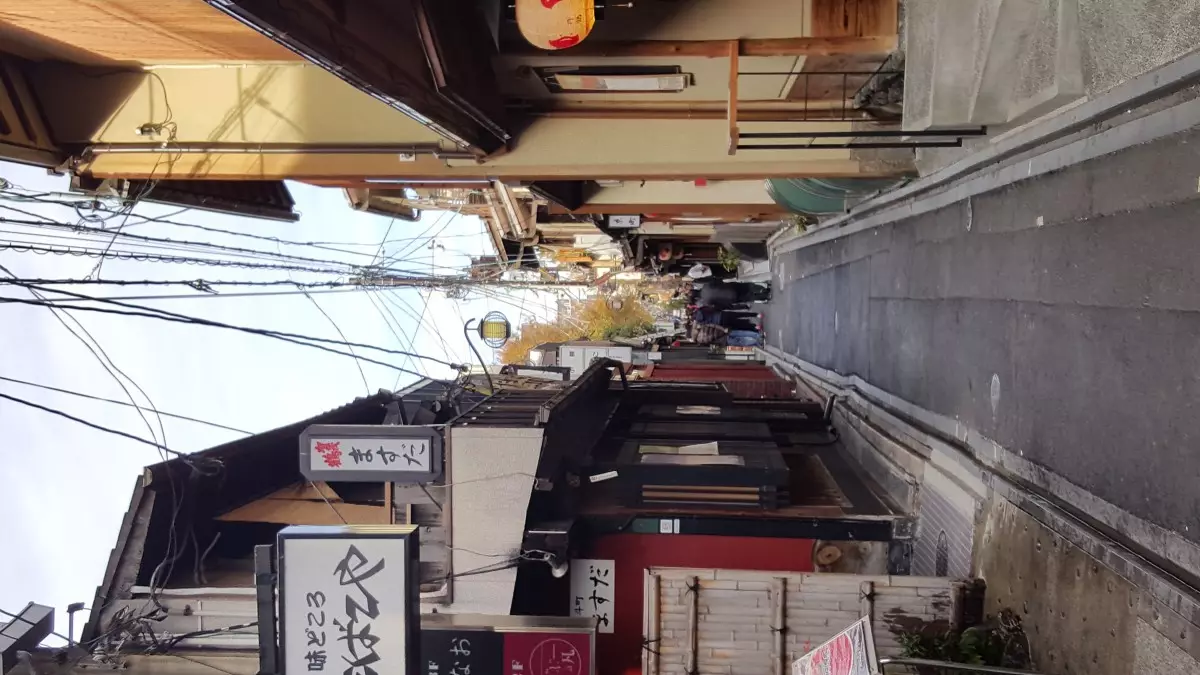 Дневникът на Уолк Мораис: Бързото пътуване до историческото Киото 65278_16