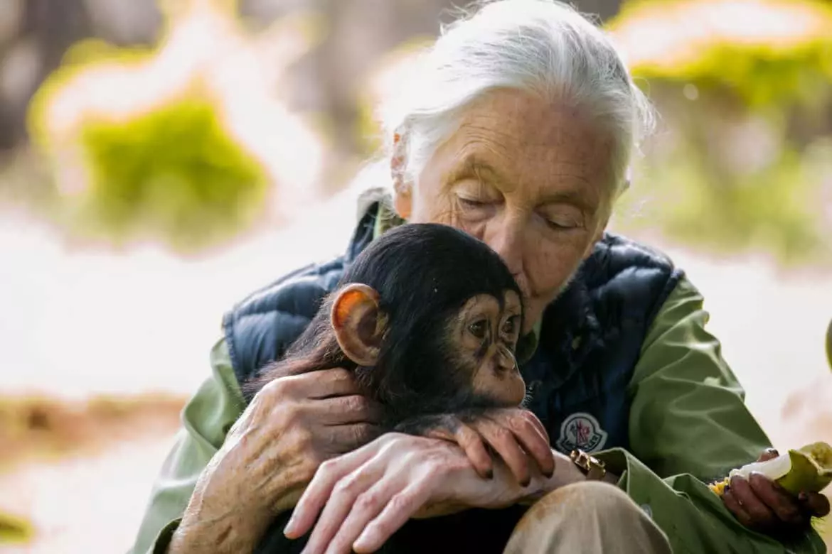 Dr. Jane Goodall samarbeider med Wellness Brand Forest Remedies