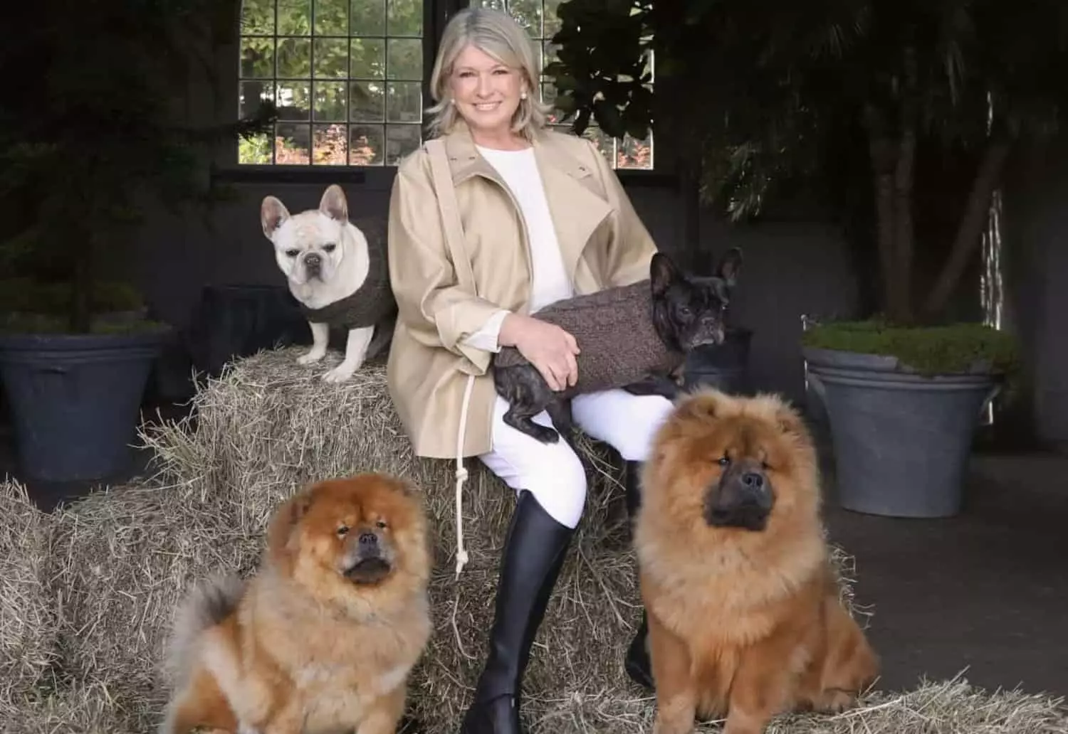 Martha Stewart Yeni CBD Xətti ilə Ev Heyvanlarınızı *Rahatlatmaq* İstəyir