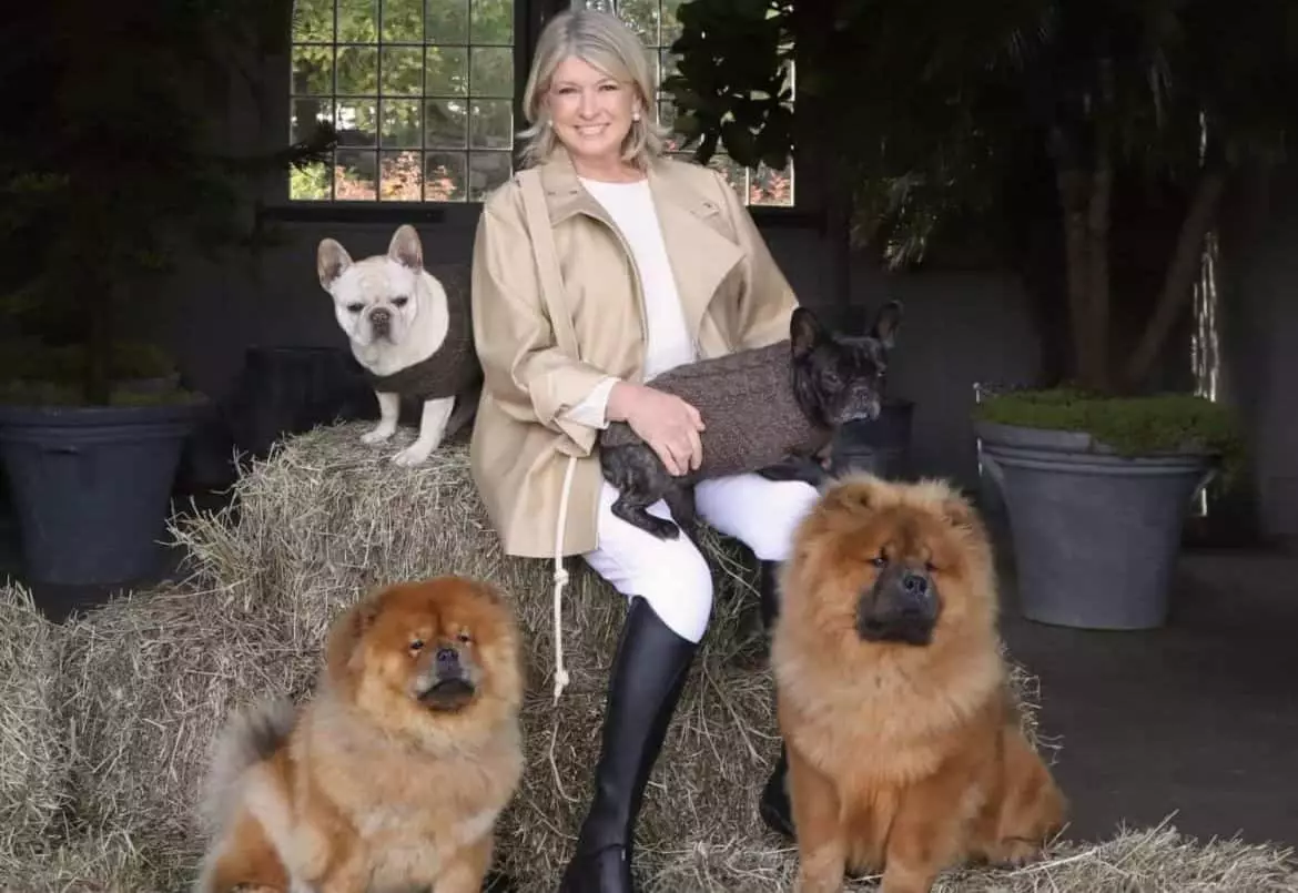 Martha Stewart haluaa *viihtyä* lemmikkisi uudella CBD-sarjallaan 7621_1