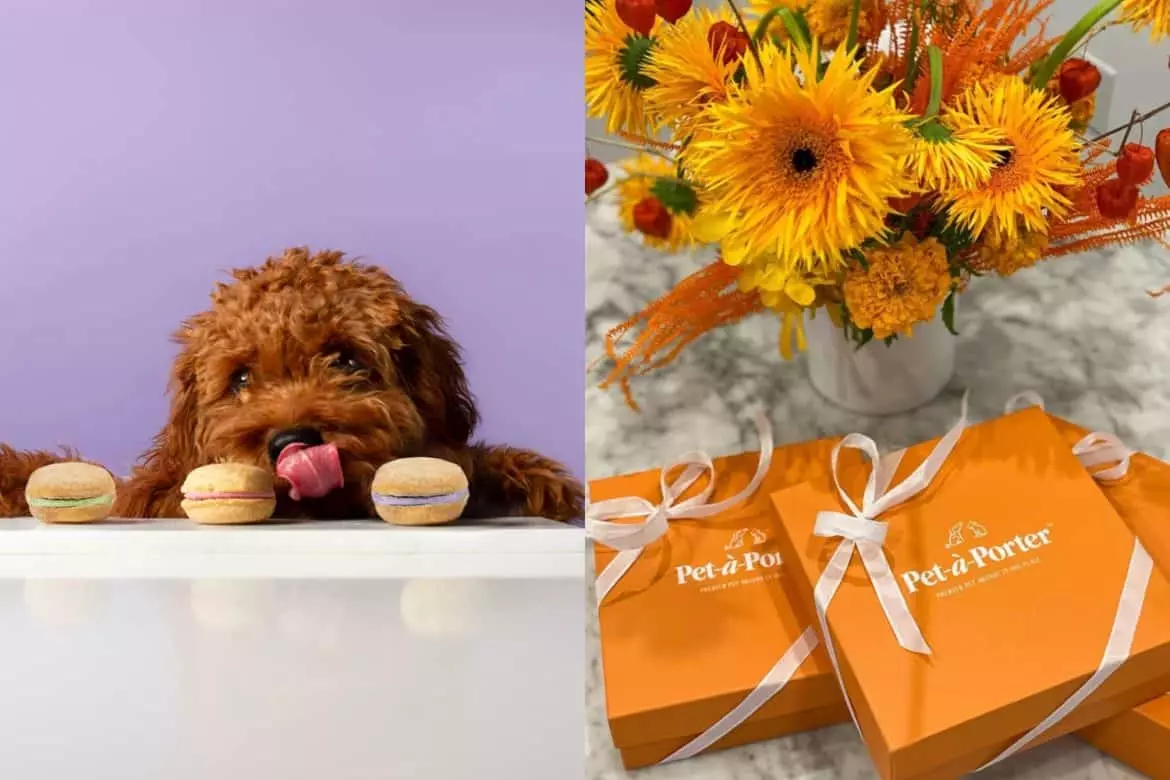 Llamando a todos los amantes de los animales: Pet-A-Porter (!) Es un nuevo sitio web que debe visitar 7921_1