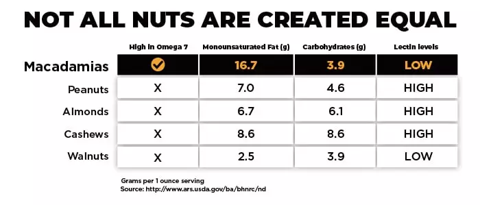 Superfood Macadamias Þurrkaðu gólfið með venjulegum hnetum 8990_3