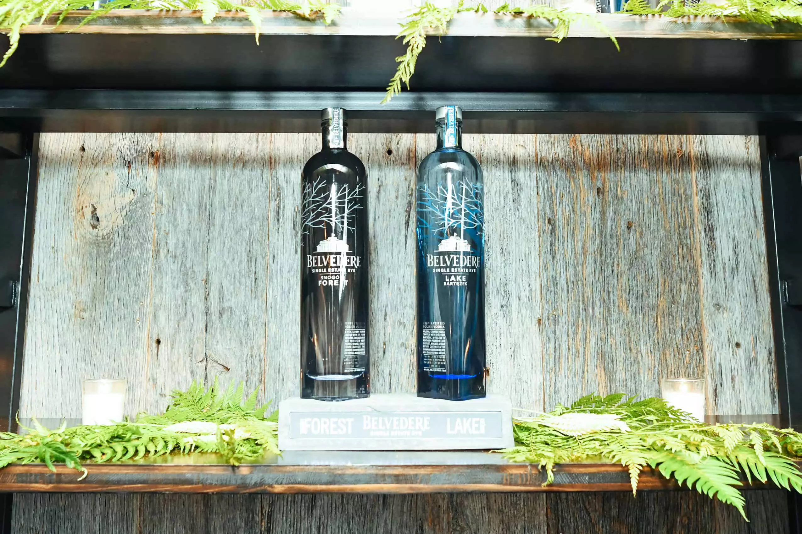 The Daily và Belvedere Vodka ca ngợi những loại rượu đa gạch nối năng động nhất của Hamptons 9627_34